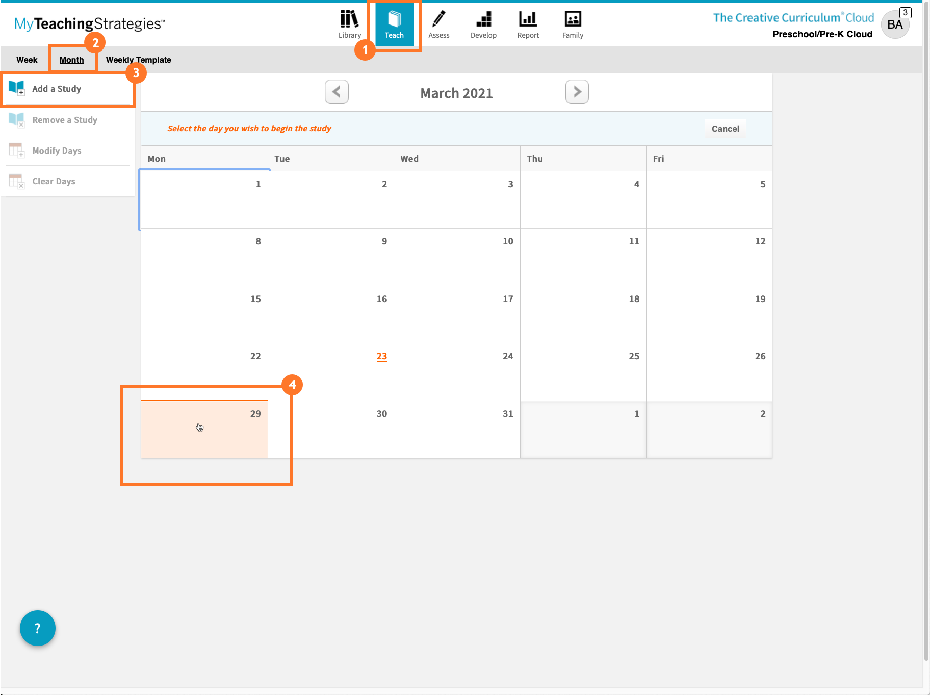 NEW Teaching Guide! The Light Study