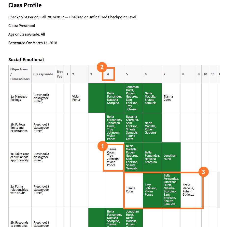 How do I interpret the Class Profile Report?