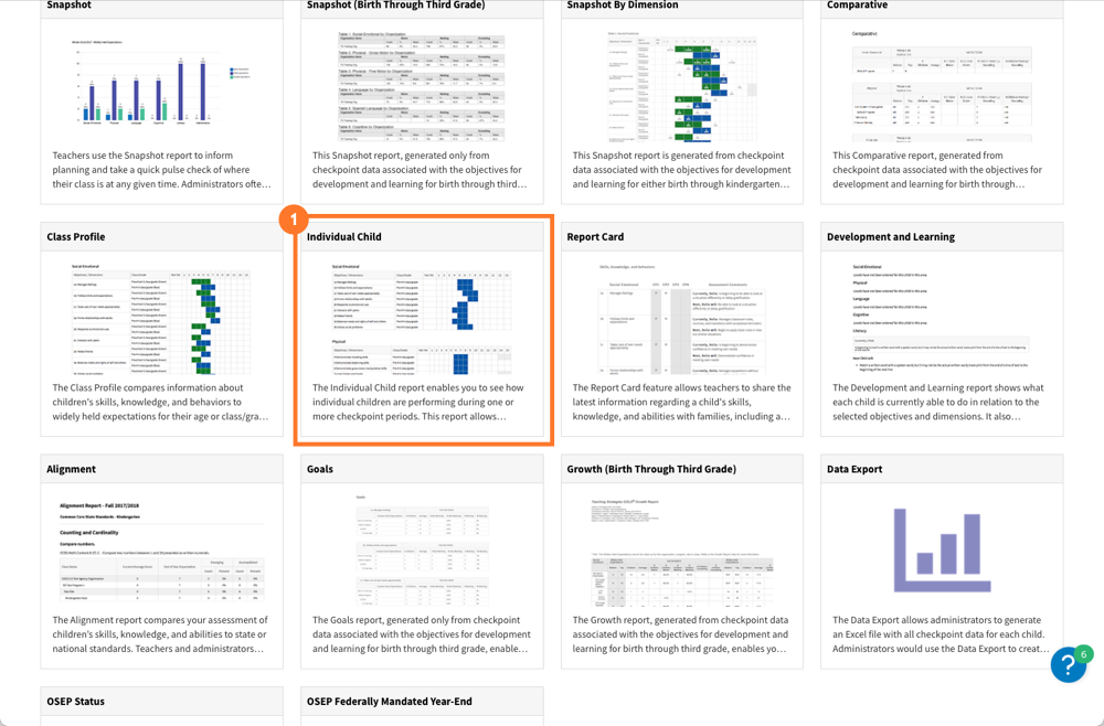 Individual Child Report - Administrators