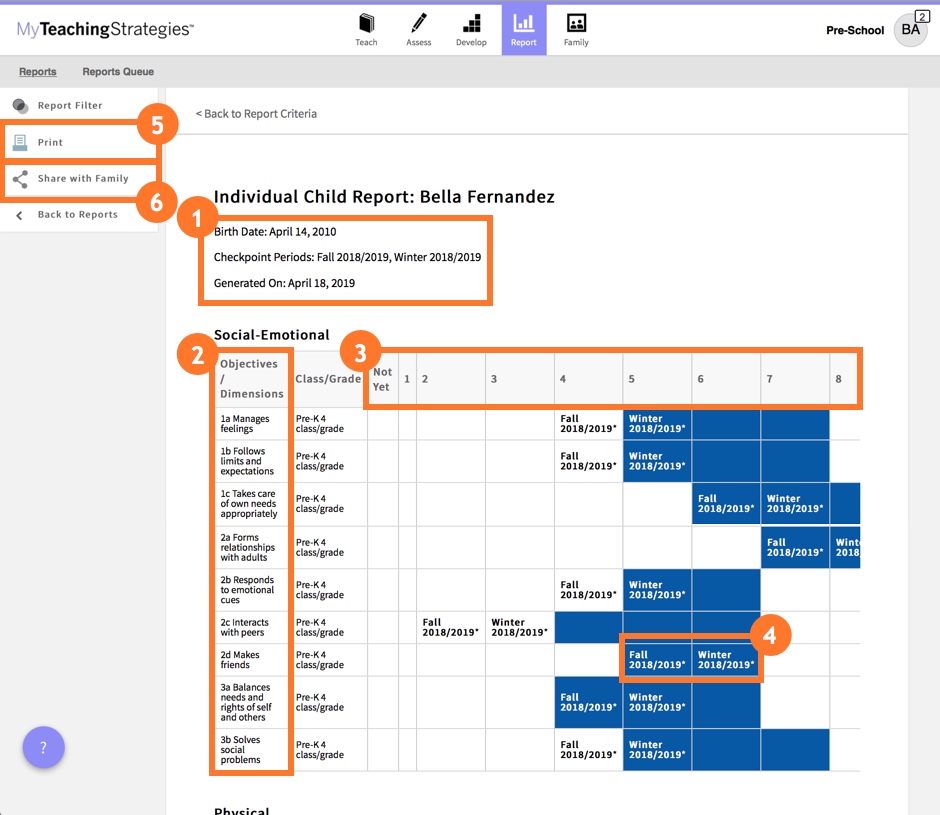 Individual Child Report - Teachers