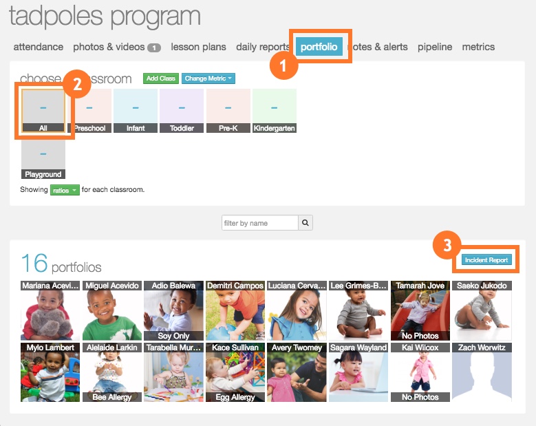 How can I view historical incident records in Tadpoles?