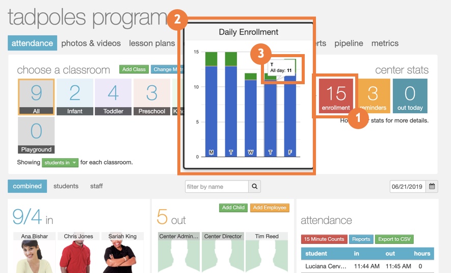 How do I view daily enrollment totals in Tadpoles?