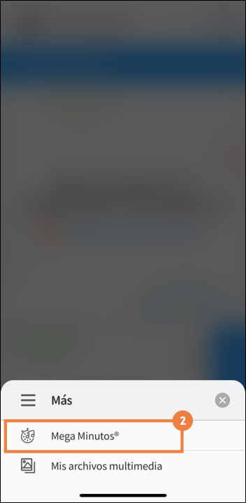 Uso de Mega Minutos en la aplicación Teaching Strategies Teacher