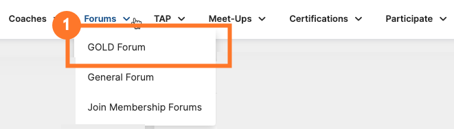 Getting Started in The Hub