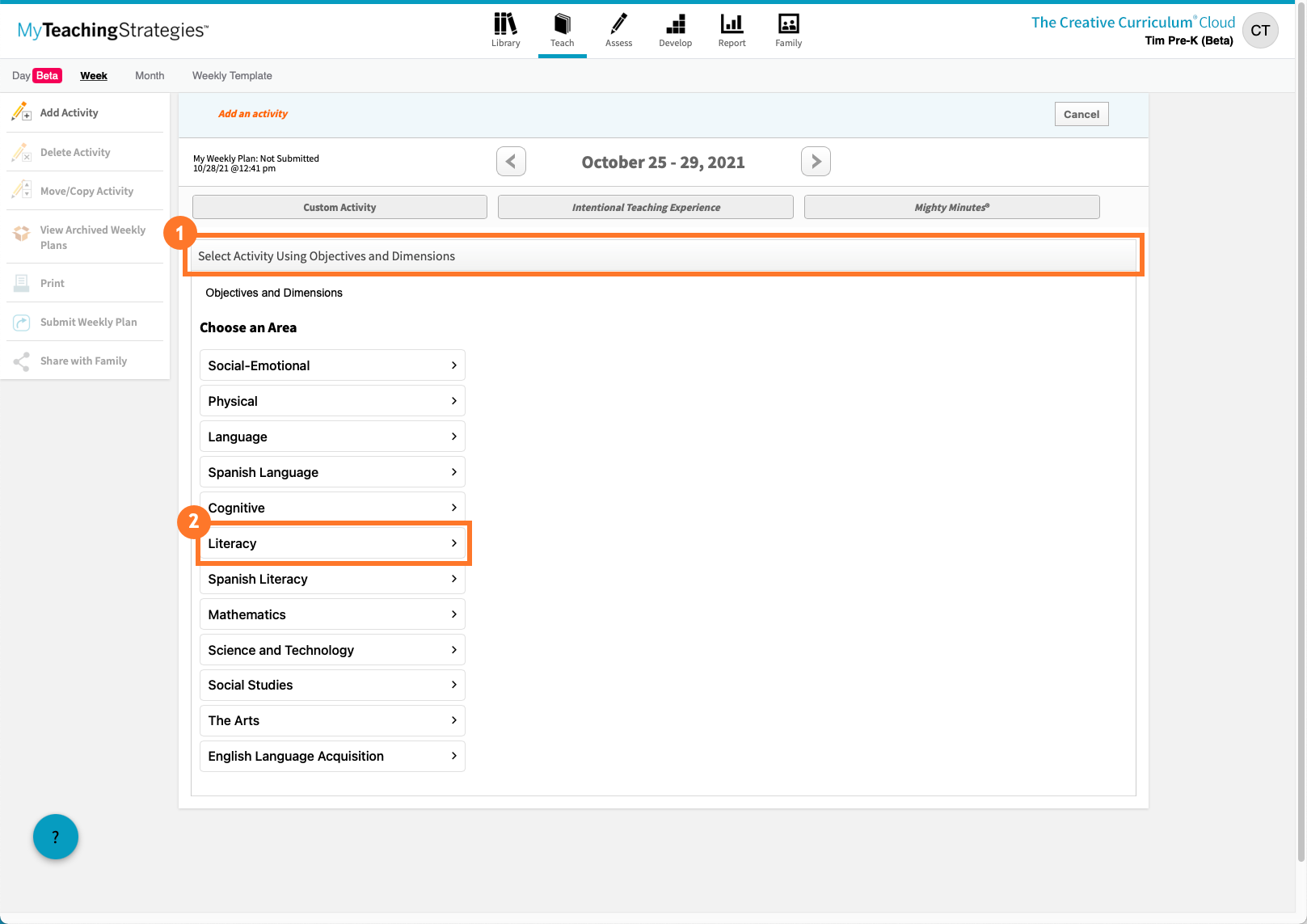 Searching for Intentional Teaching Experiences and Mighty Minutes at Once