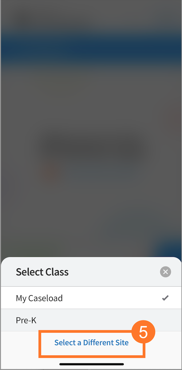MyTeachingStrategies® Support Portal
