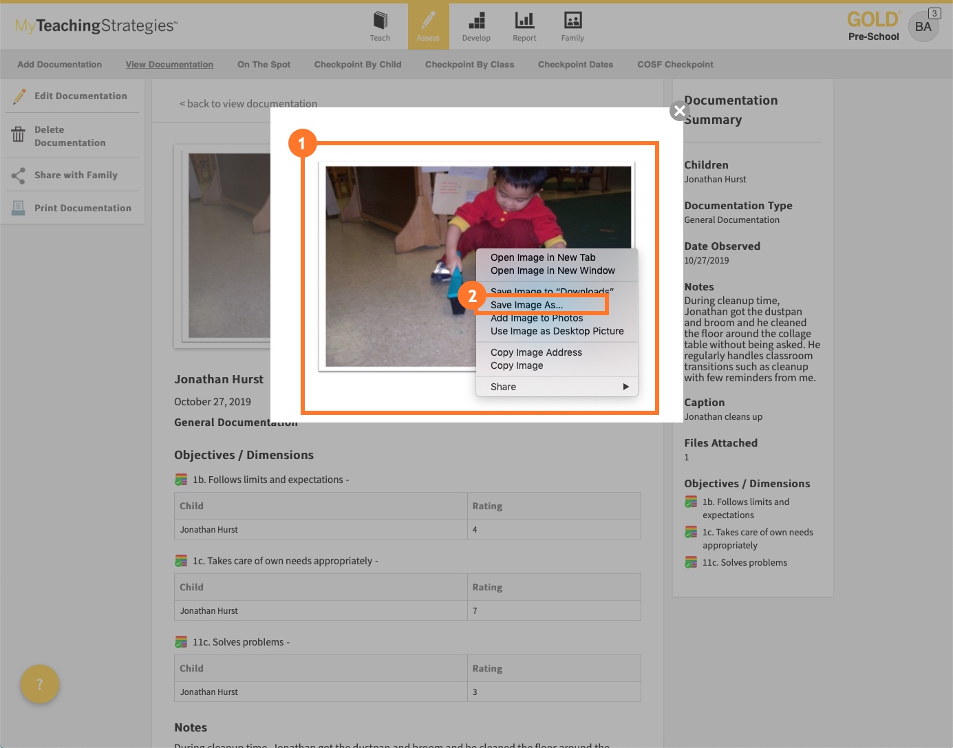 How do I print or download pictures attached to documentation?